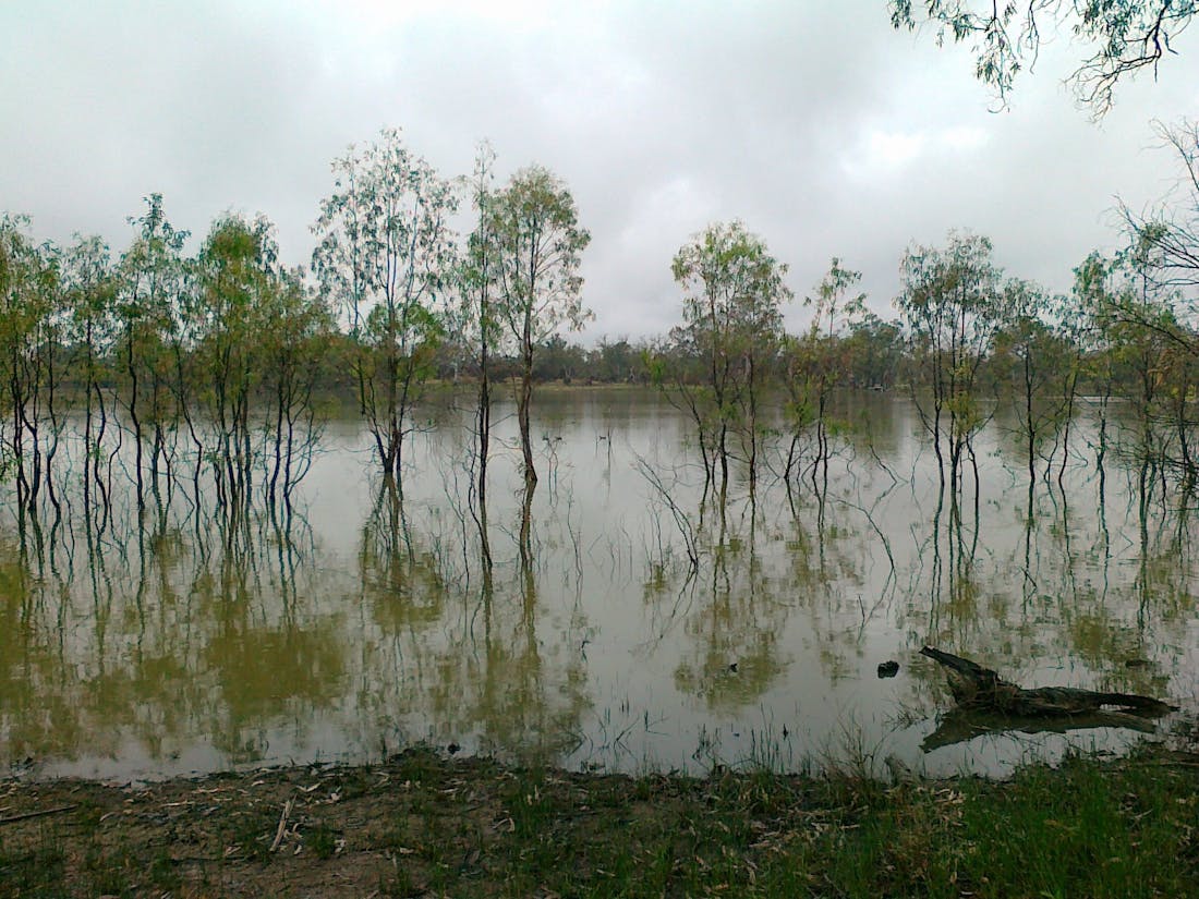 Morgan Conservation Park Campgrounds - Morgan, Accommodation | So...