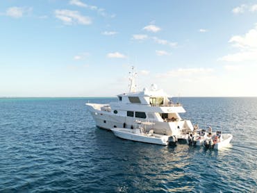 Tully Golden Gumboot | Attractions | Queensland