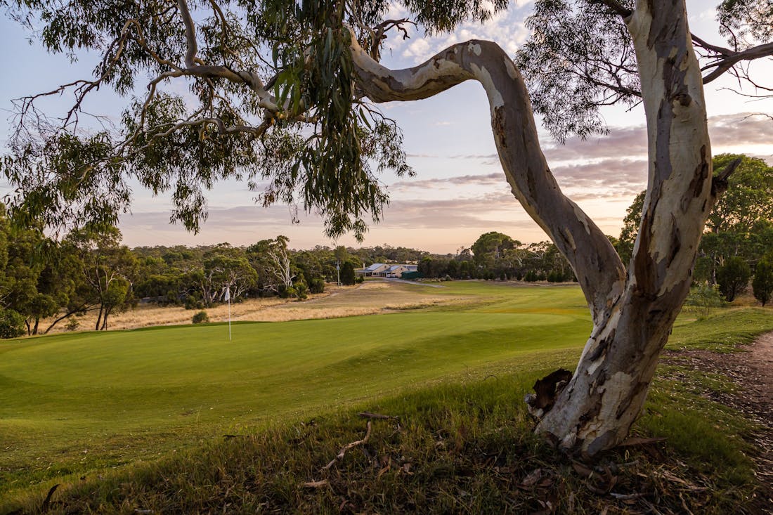 Tanunda Pines Golf Club - Rowland Flat, Attraction | South Australia