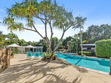 Cotton Tree | Destination-information | Queensland