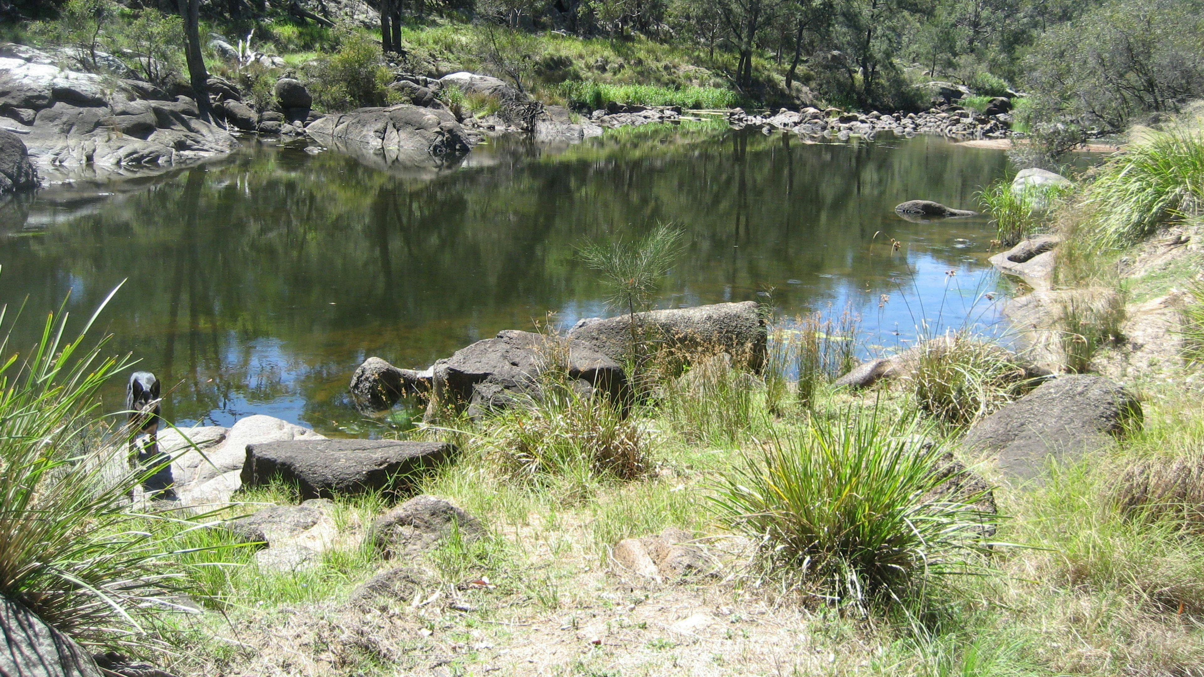 Bai-Yai River Eco-Camp and Artist Retreat | NSW Holidays ...