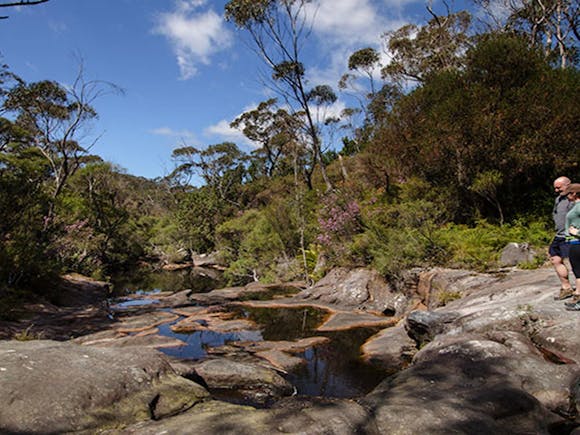 Barren Grounds Nature Reserve - Destination Kiama