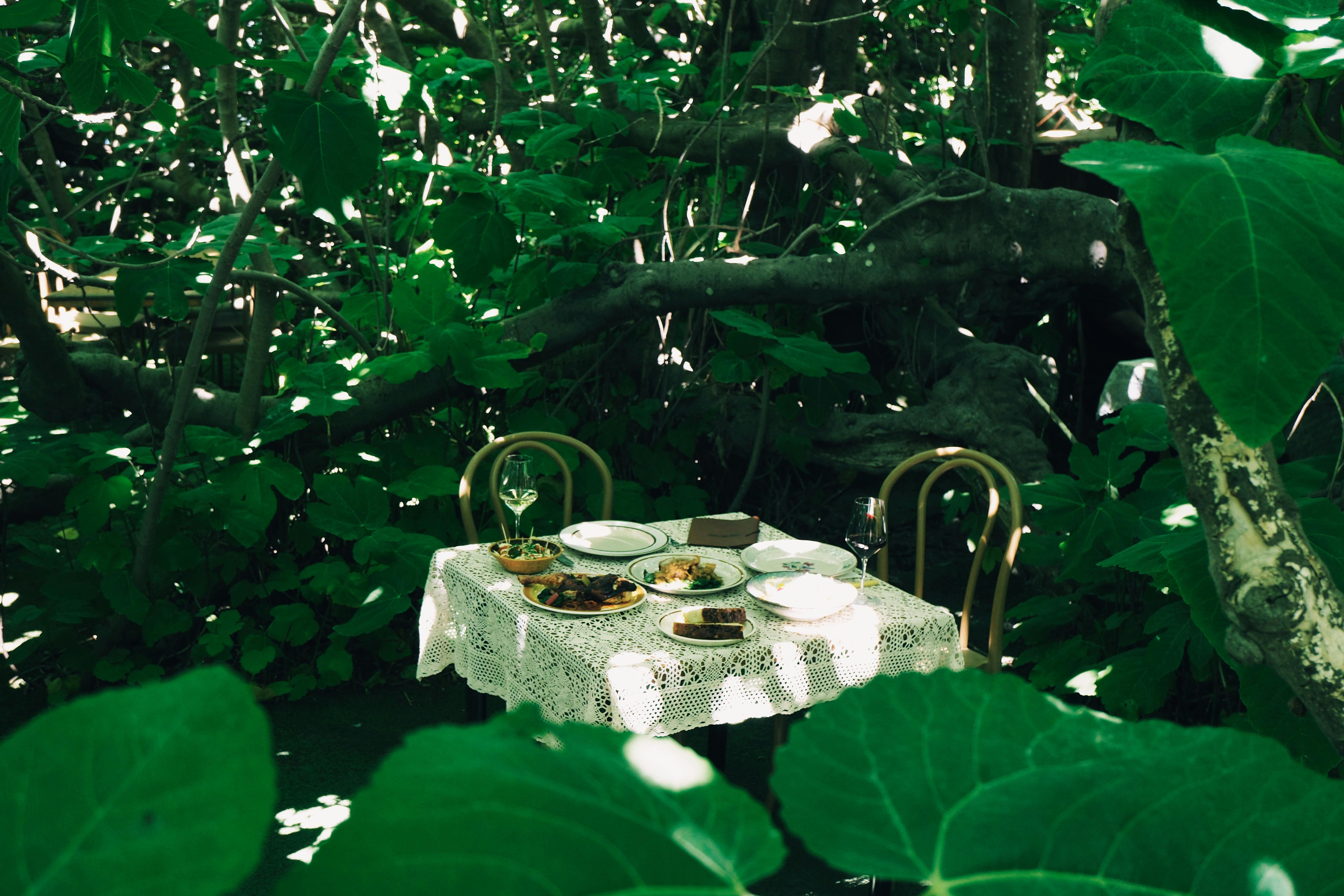 The Fig Tree • Kangaroo Island, South Australia