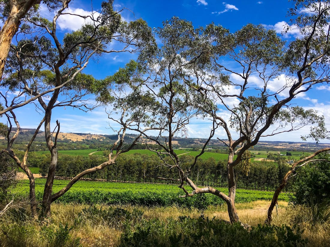 Karawatha Cottages Food and Wine Experiences - Blewitt Springs, T...