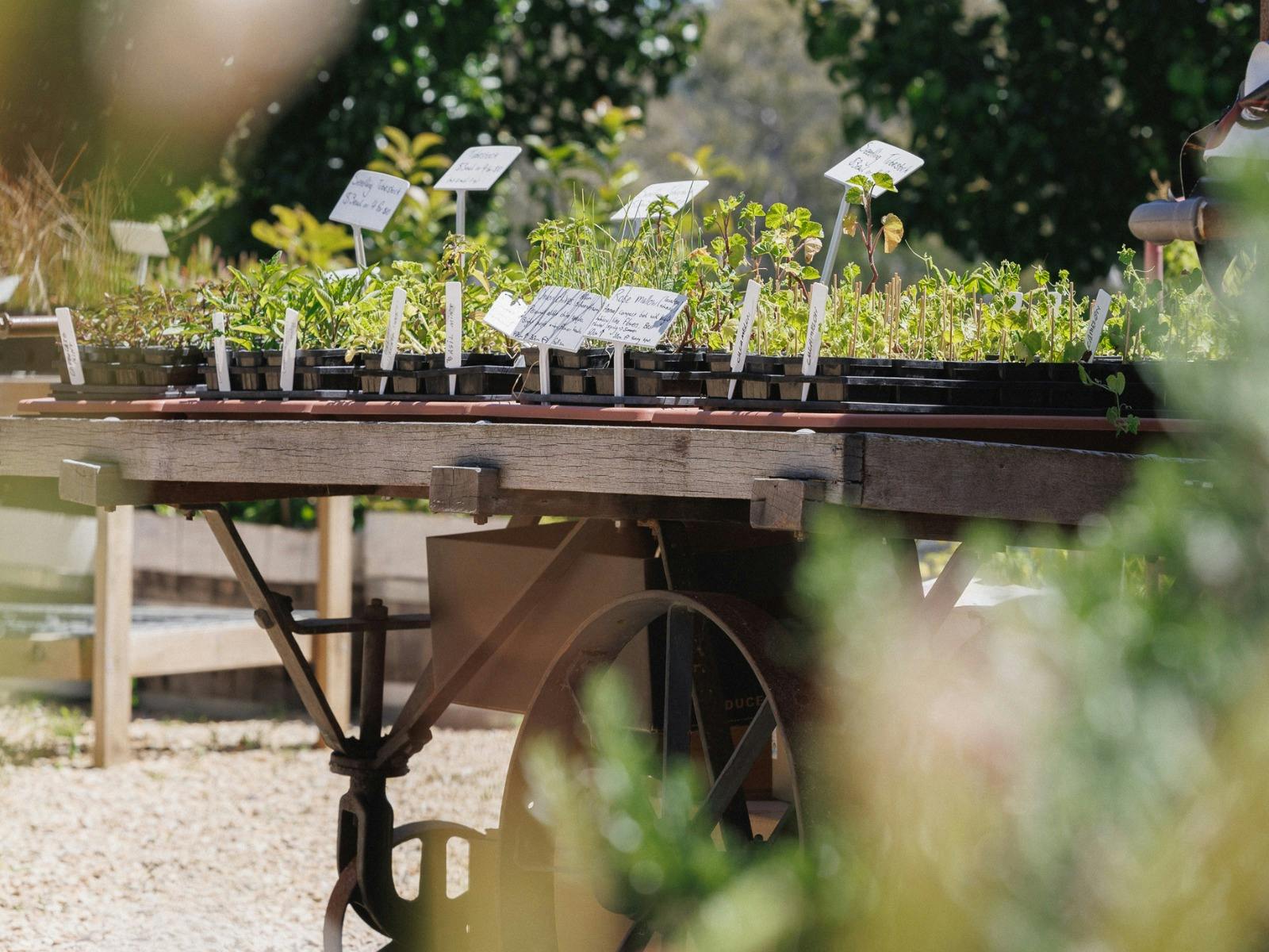 Kitchen Farm - Mount Barker, Food and Drink | South Australia