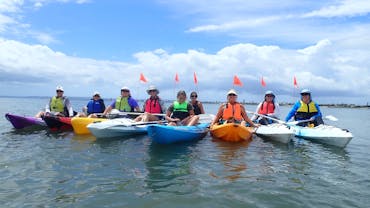 Dohles Rocks | Attractions | Queensland