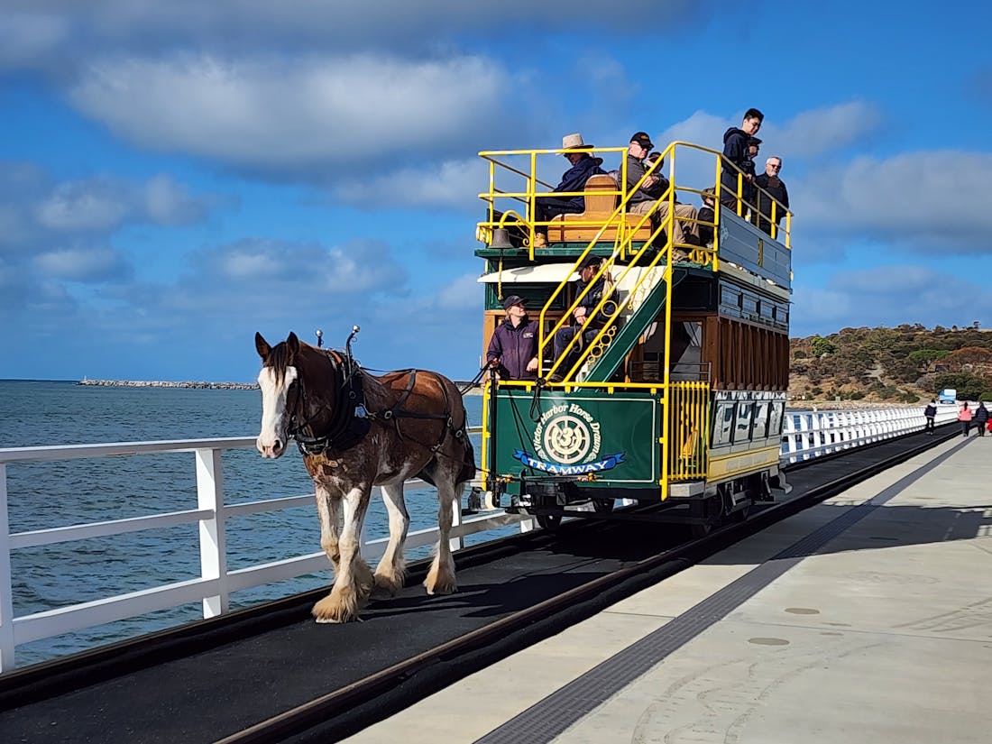 Discover Adelaide - Fleurieu Peninsula - Woodcroft, Tour | South ...