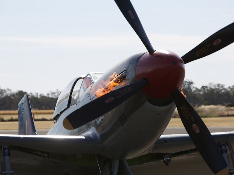 Tenterfield - Accommodation, Maps, Attractions & Events