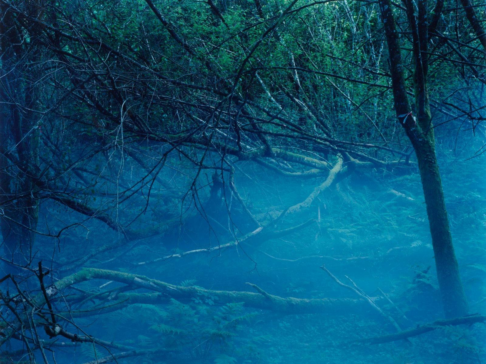 Data Dreams: Art and AI | Sydney, Australia - Official Travel ...