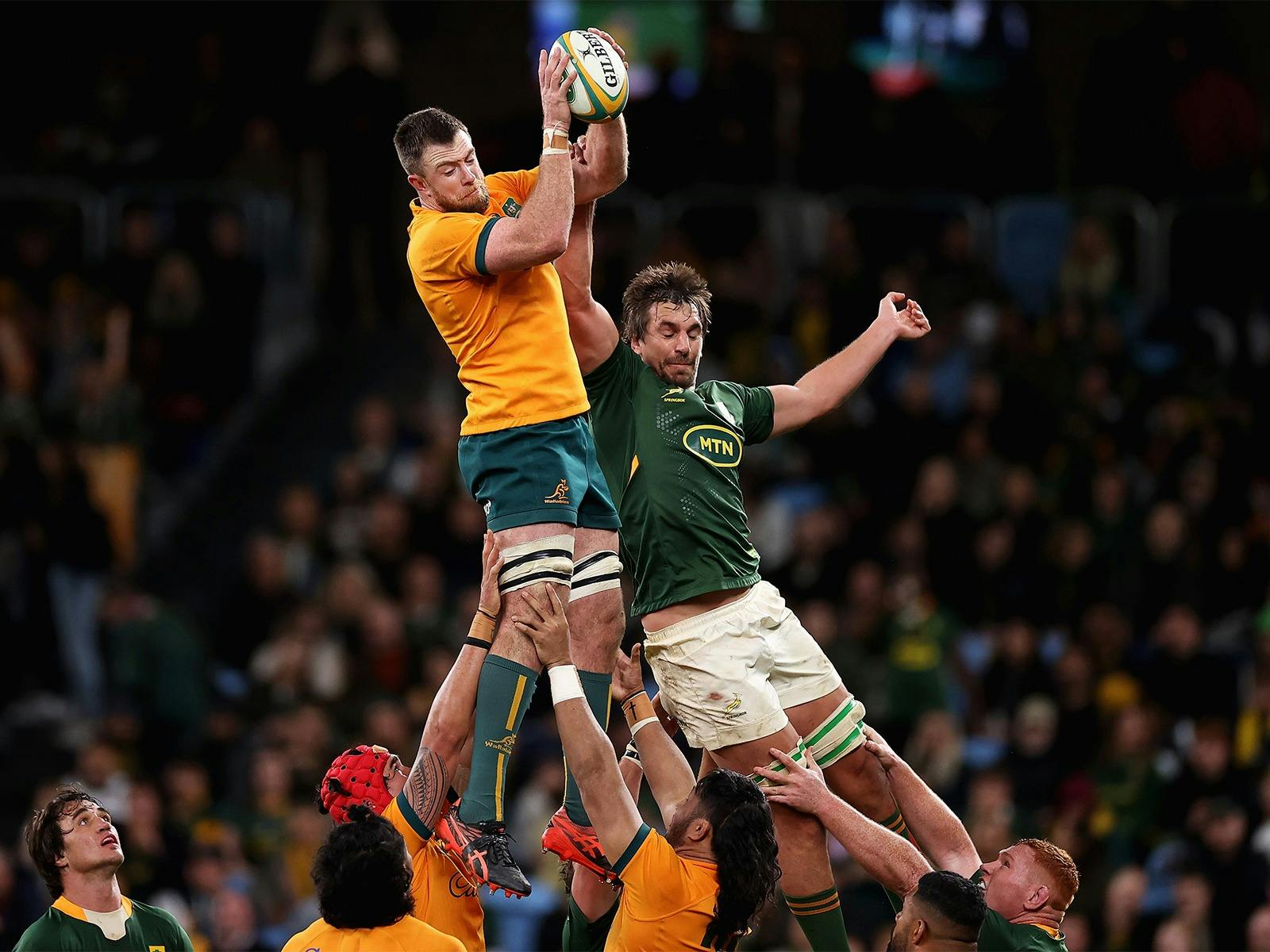 Wallabies v South Africa