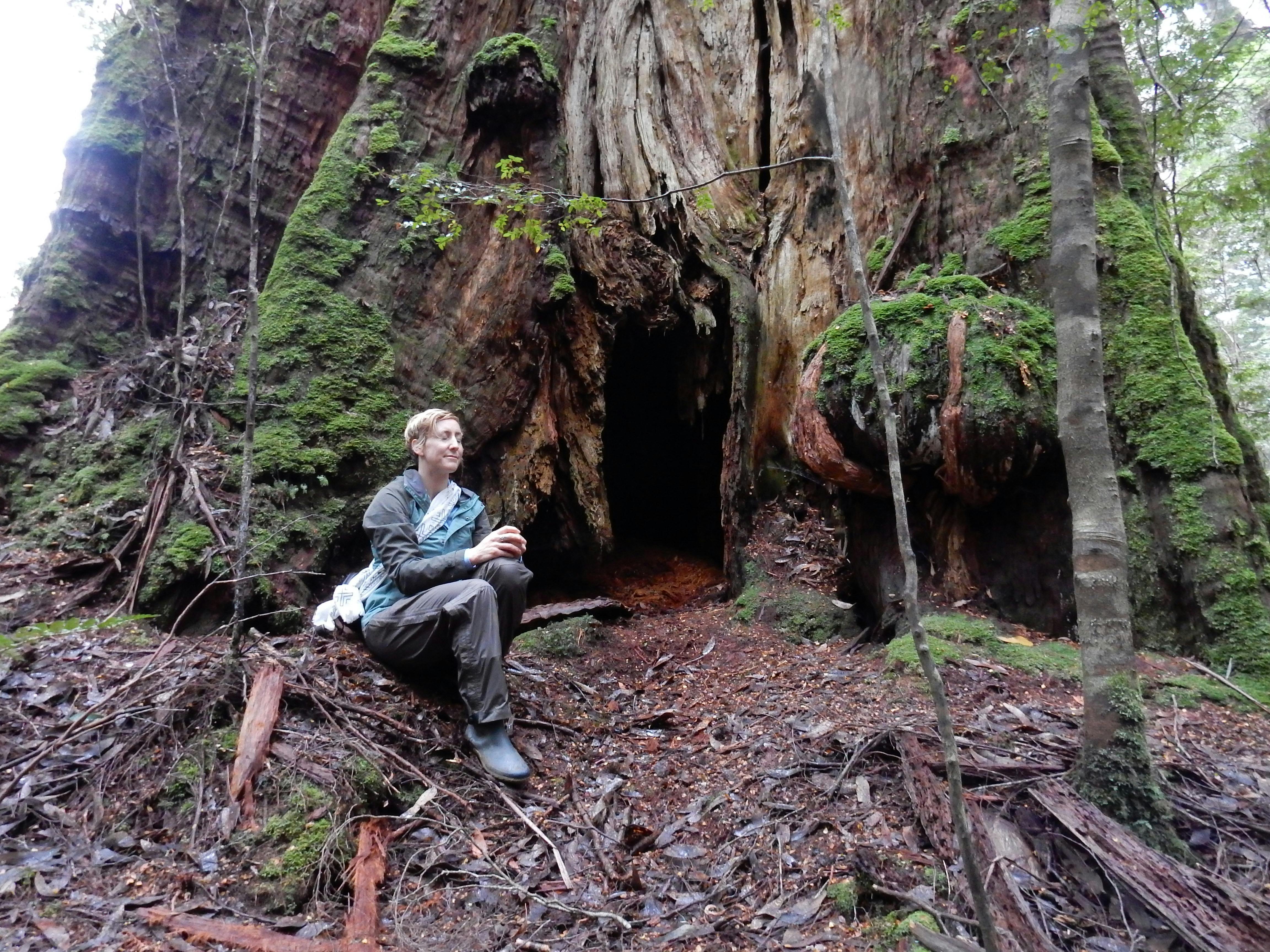 Bushwalker transfers | Tour | Discover Tasmania