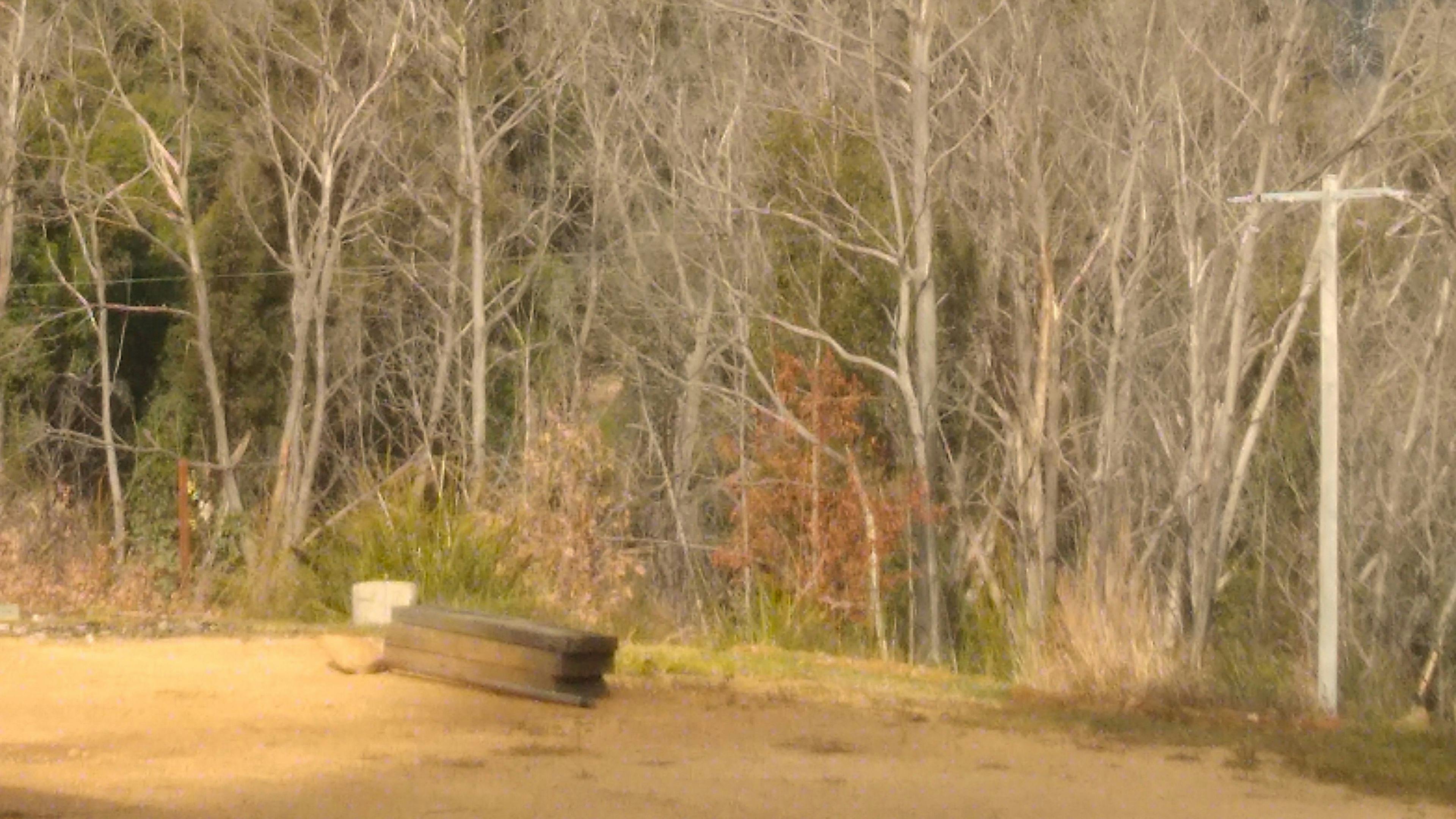 Bermi Bush Block | NSW Holidays & Accommodation, Things to Do ...