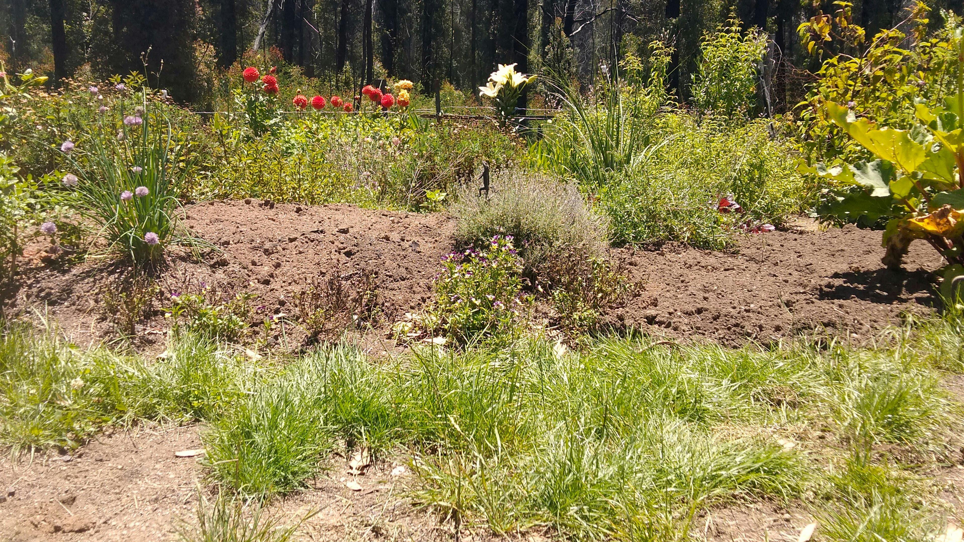 Bermi Bush Block | NSW Holidays & Accommodation, Things to Do ...