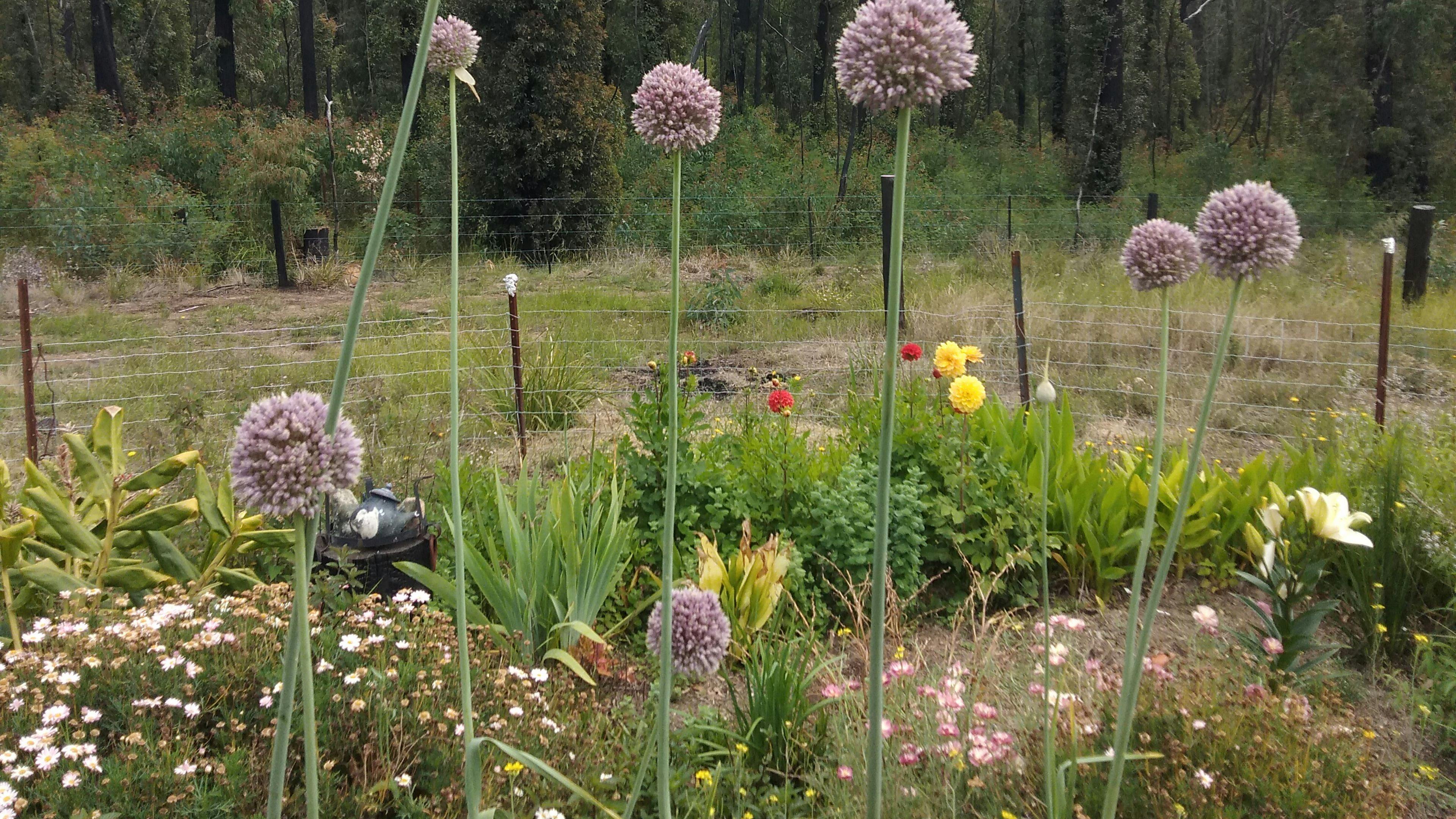 Bermi Bush Block | NSW Holidays & Accommodation, Things to Do ...