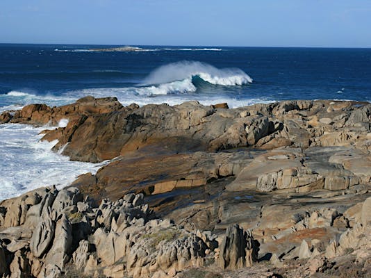 Point Bell Conservation Park - Penong, Attraction | South Australia