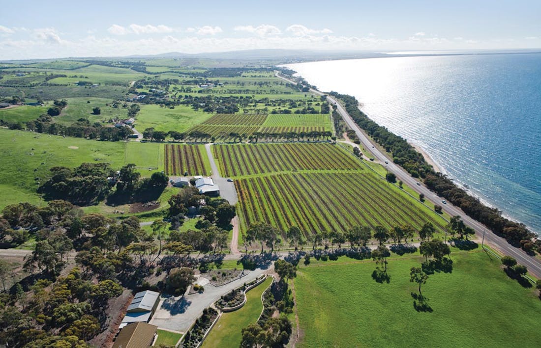 Boston Bay Wines - Port Lincoln, Food and Drink | South Australia