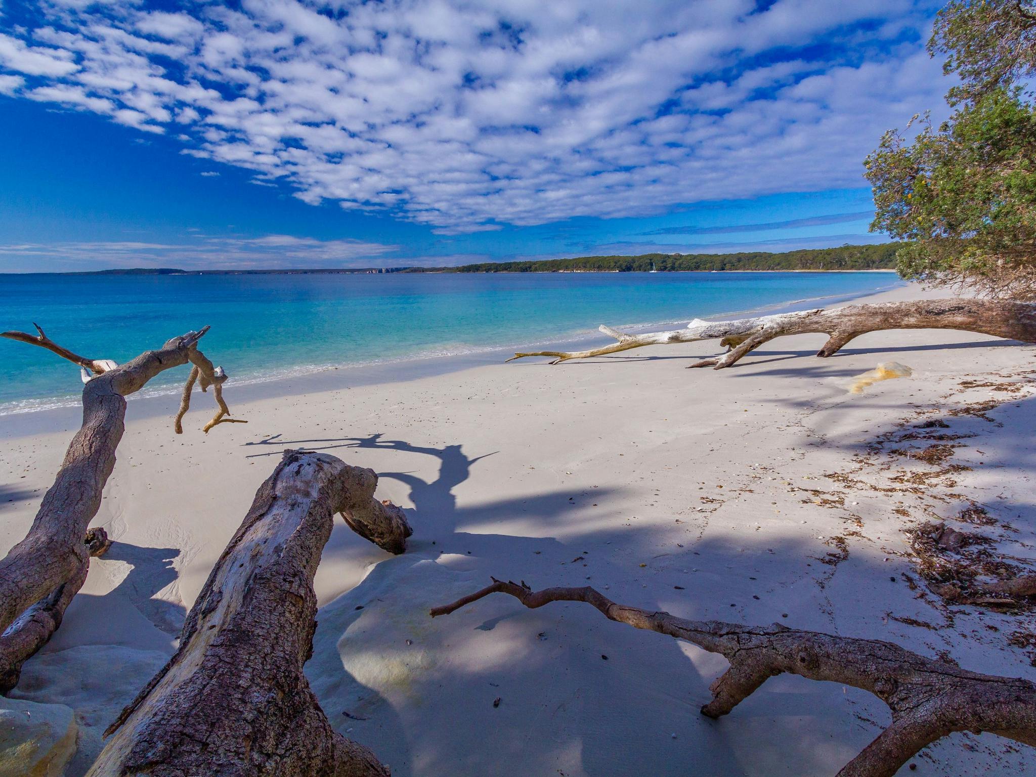 Scottish Rocks Beach | NSW Holidays & Accommodation, Things to Do ...