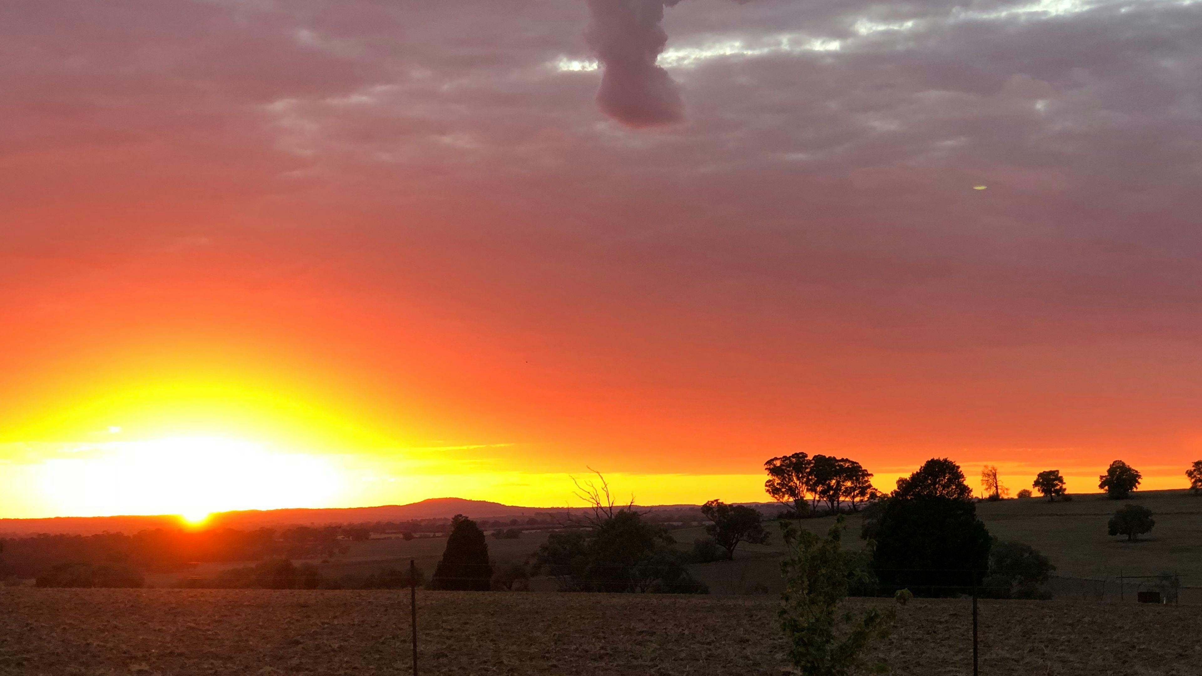 Billy'O Bush Retreat | NSW Holidays & Accommodation, Things to Do ...