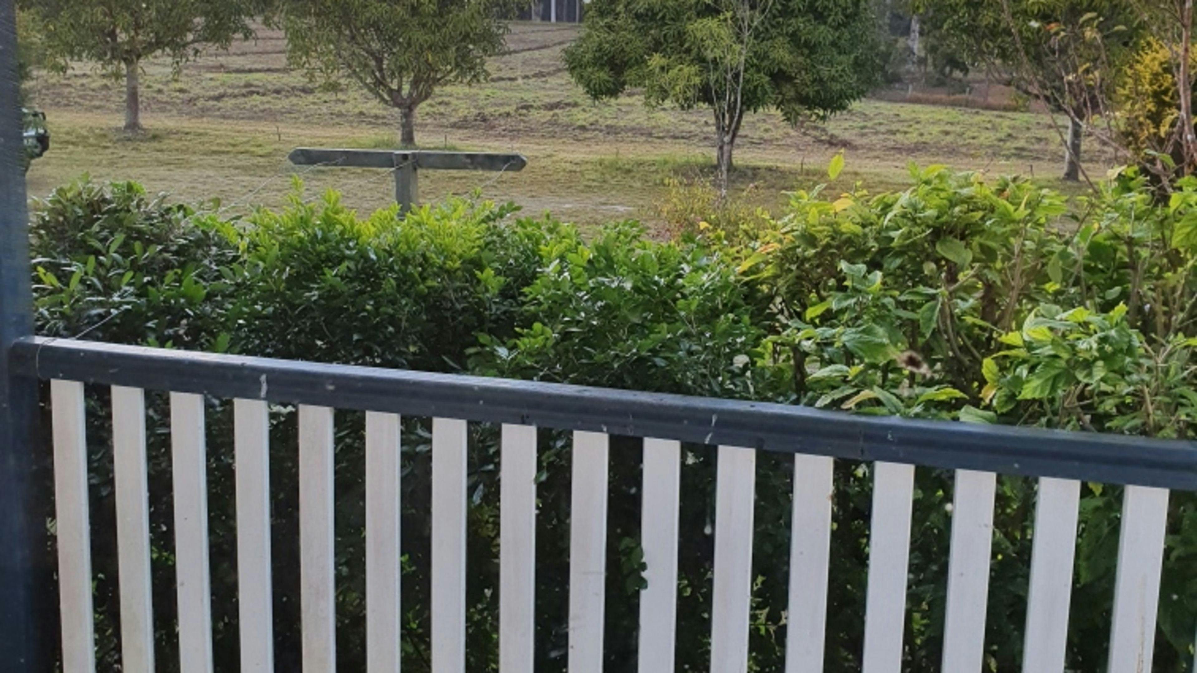 Bopple Nut Farm | Visit Fraser Coast