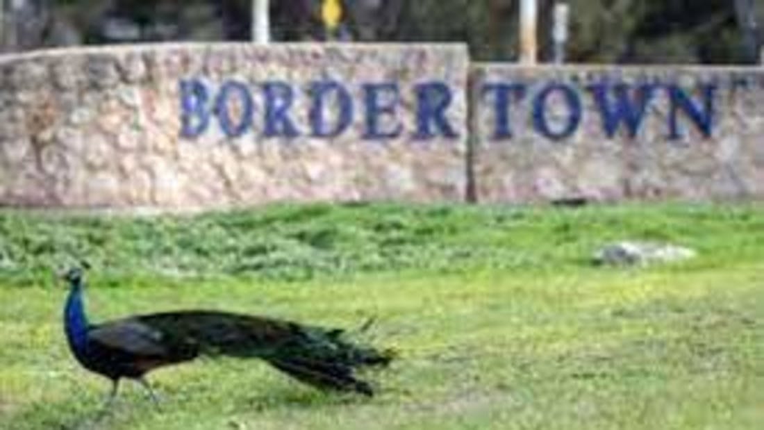 Bordertown Camp - Bordertown, Accommodation | South Australia