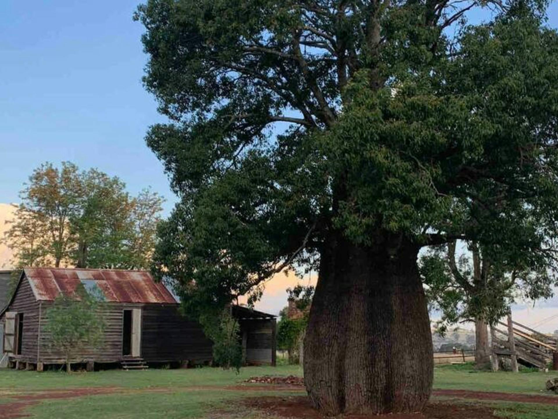 Bottle Tree Farm Studio and Camping in Merlwood - The Fold: Your Guide ...