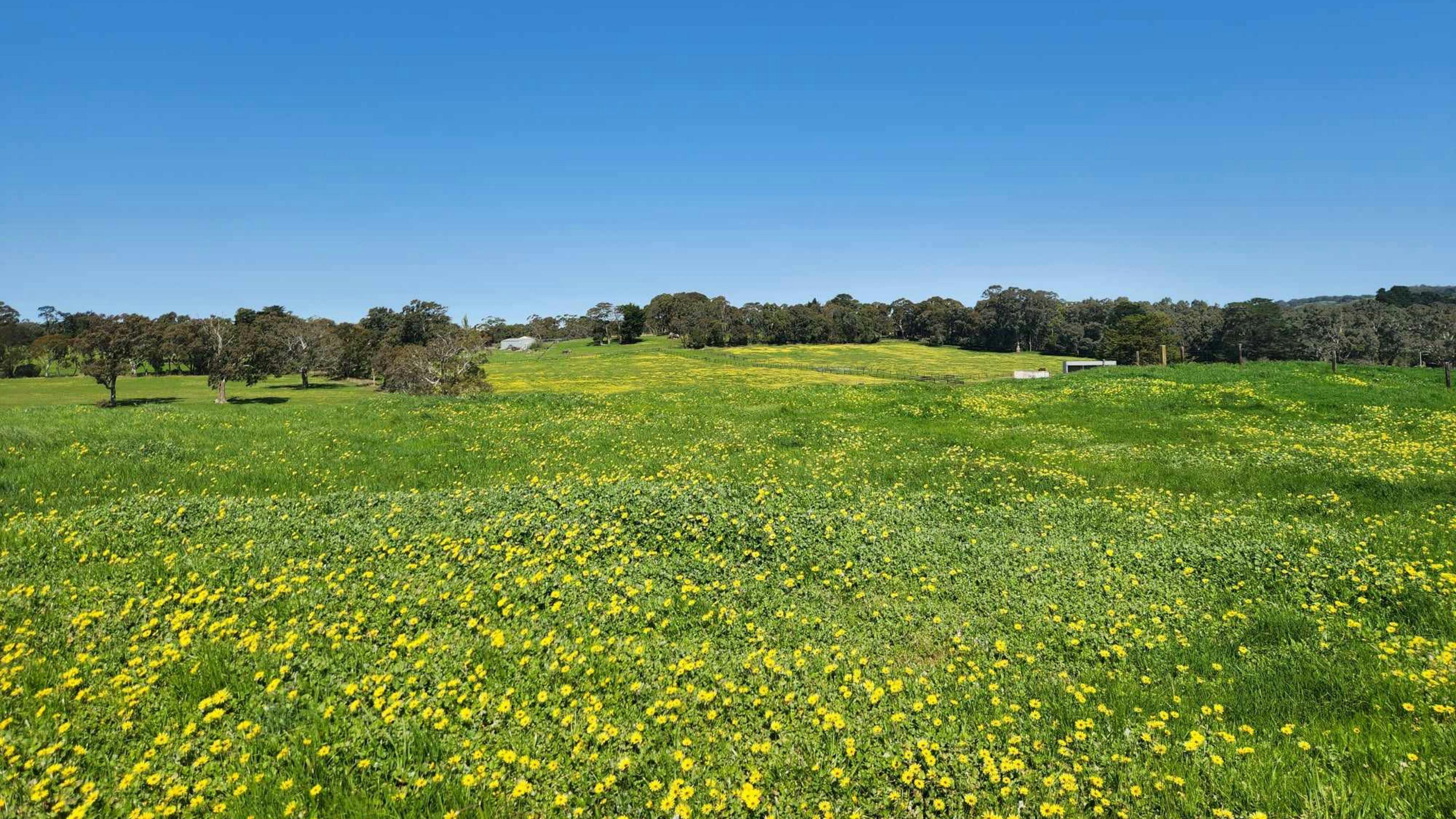 Brookside Farm | Visit Adelaide Hills