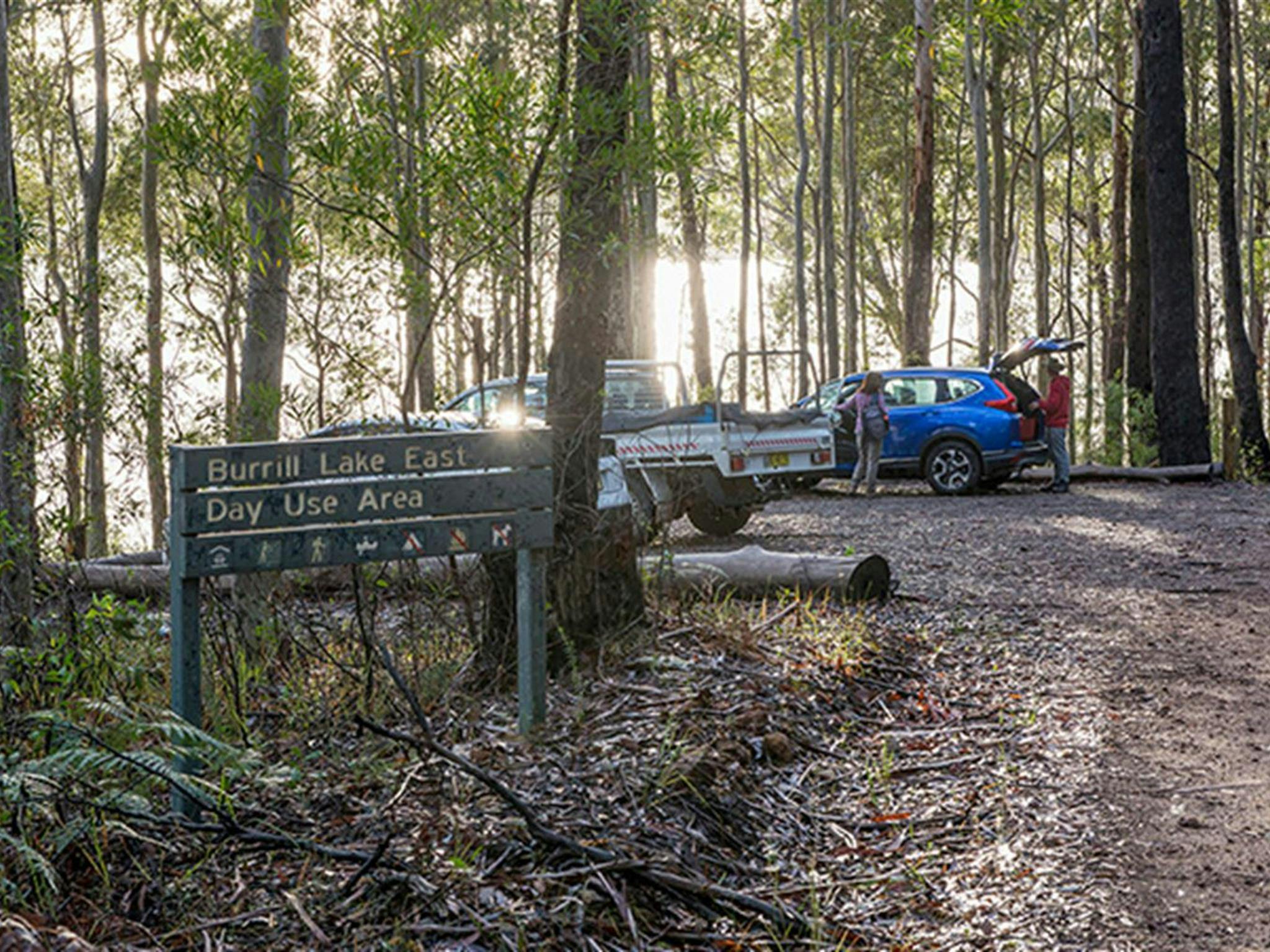 Burrill Lake East picnic area - Shoalhaven - South Coast NSW