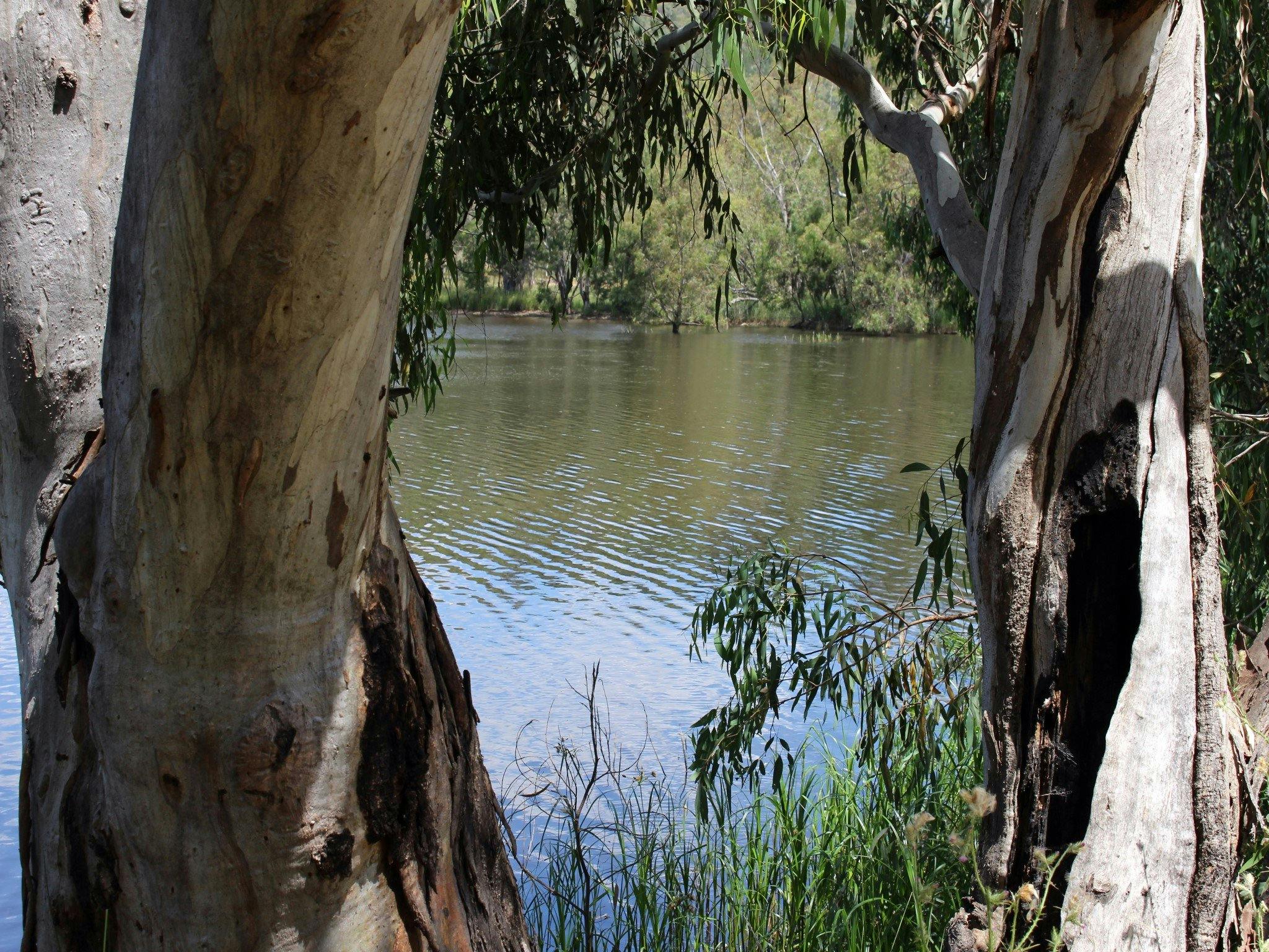 Bumberry Dam | NSW Holidays & Accommodation, Things to Do, Attractions ...