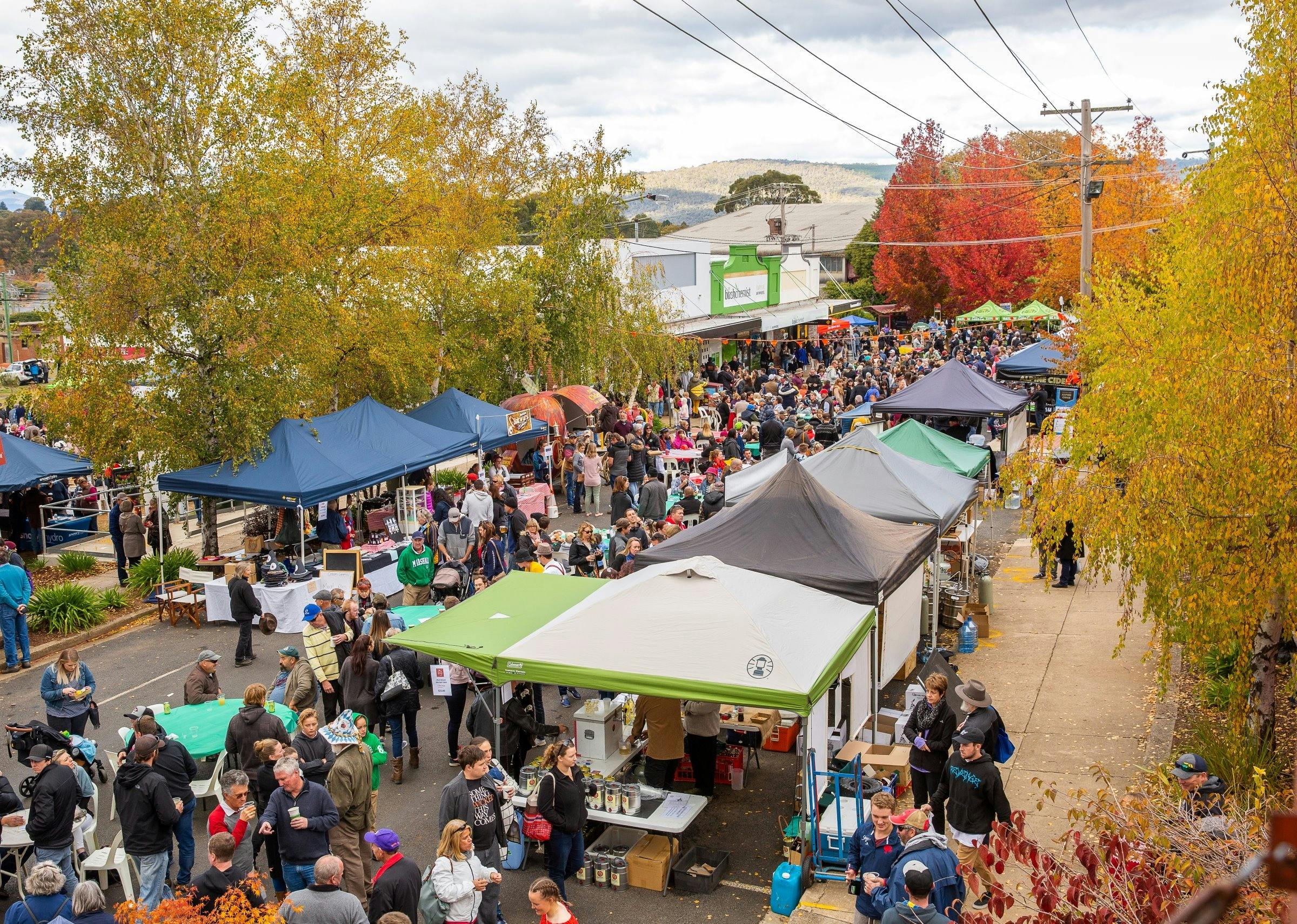 Batlow CiderFest | NSW Holidays & Accommodation, Things to Do, Attractions and Events