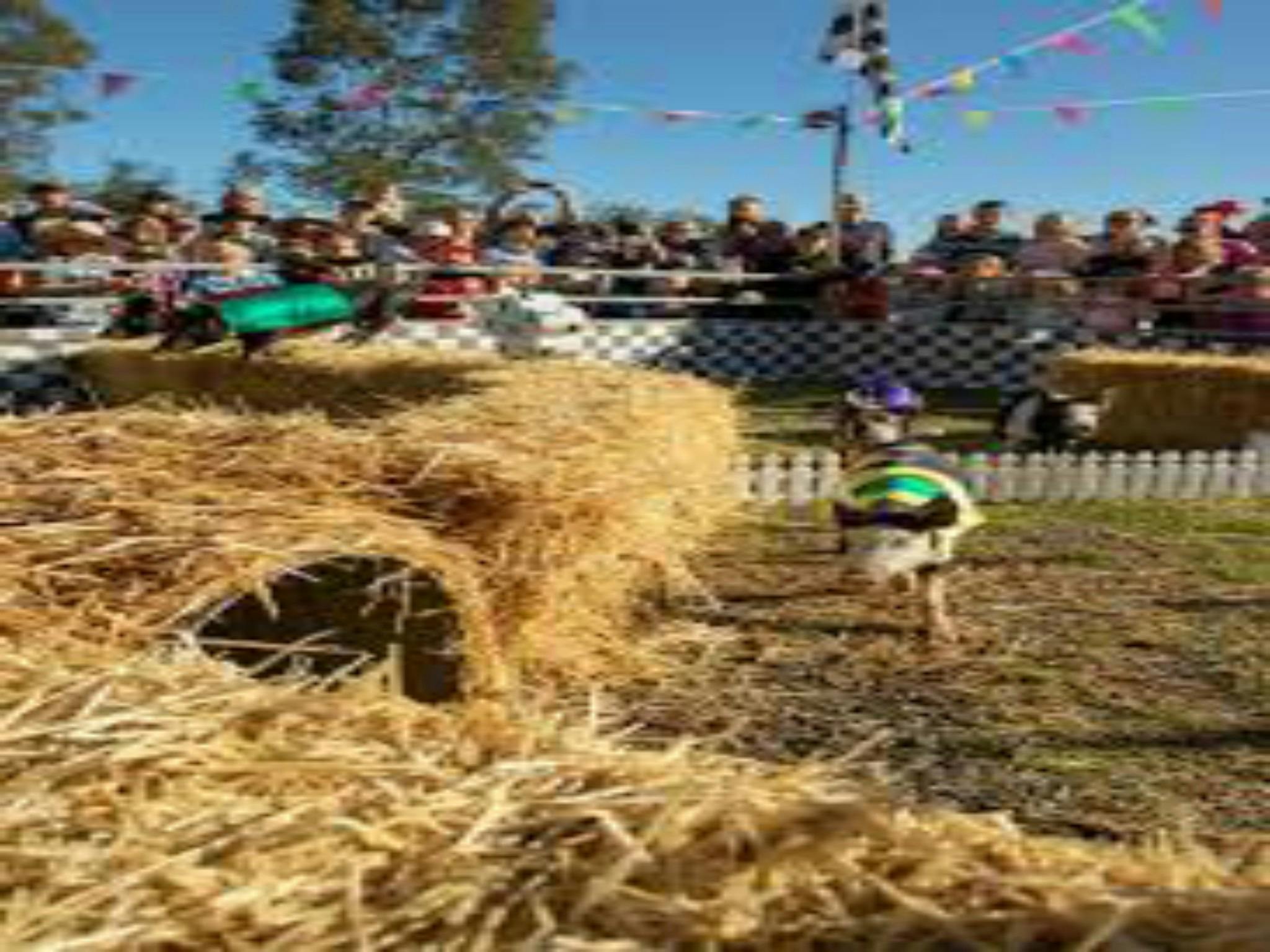 Tocal Field Days - My Maitland