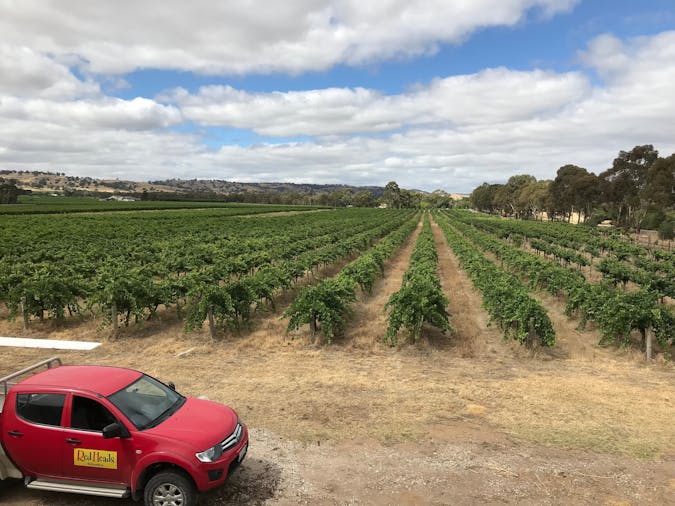 RedHeads Wine - Angaston, Food and Drink | South Australia
