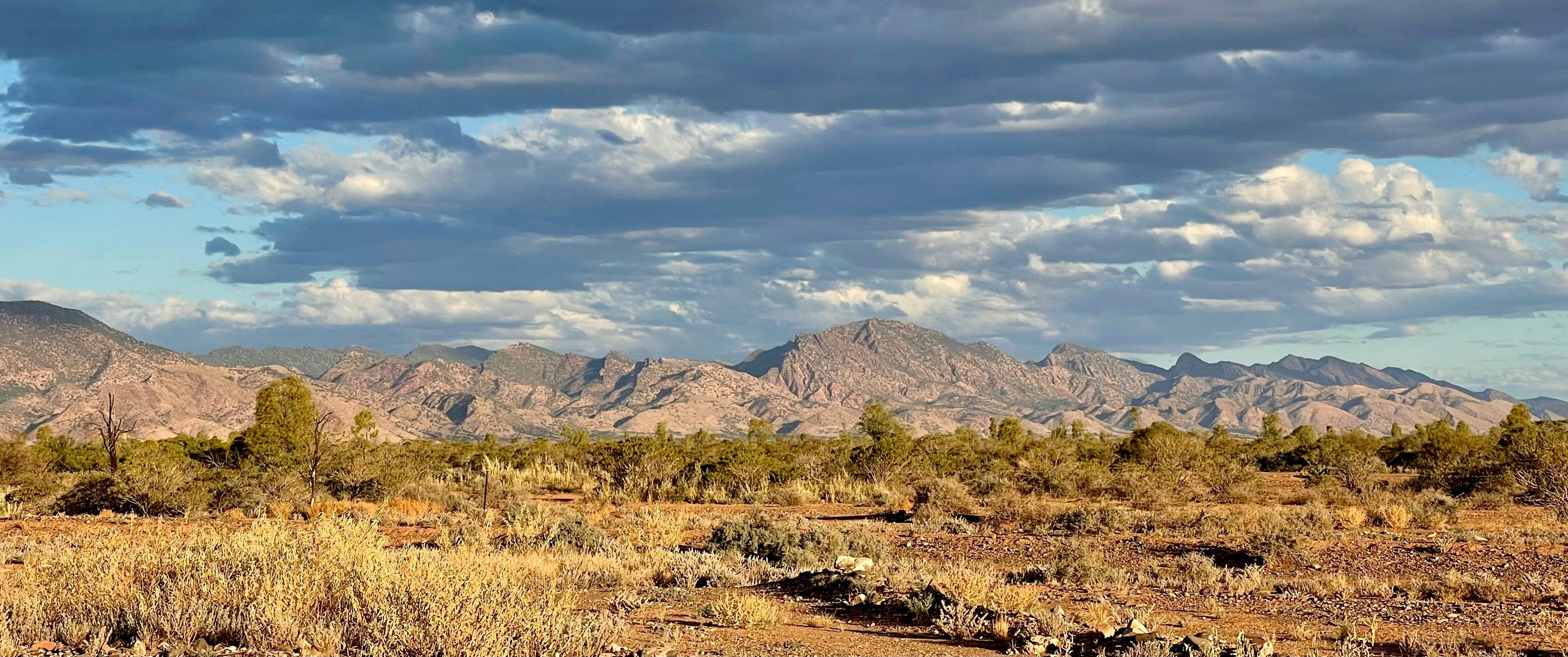 3/4 Day "Gorges & More" Flinders Ranges extenda tour (6 hours)