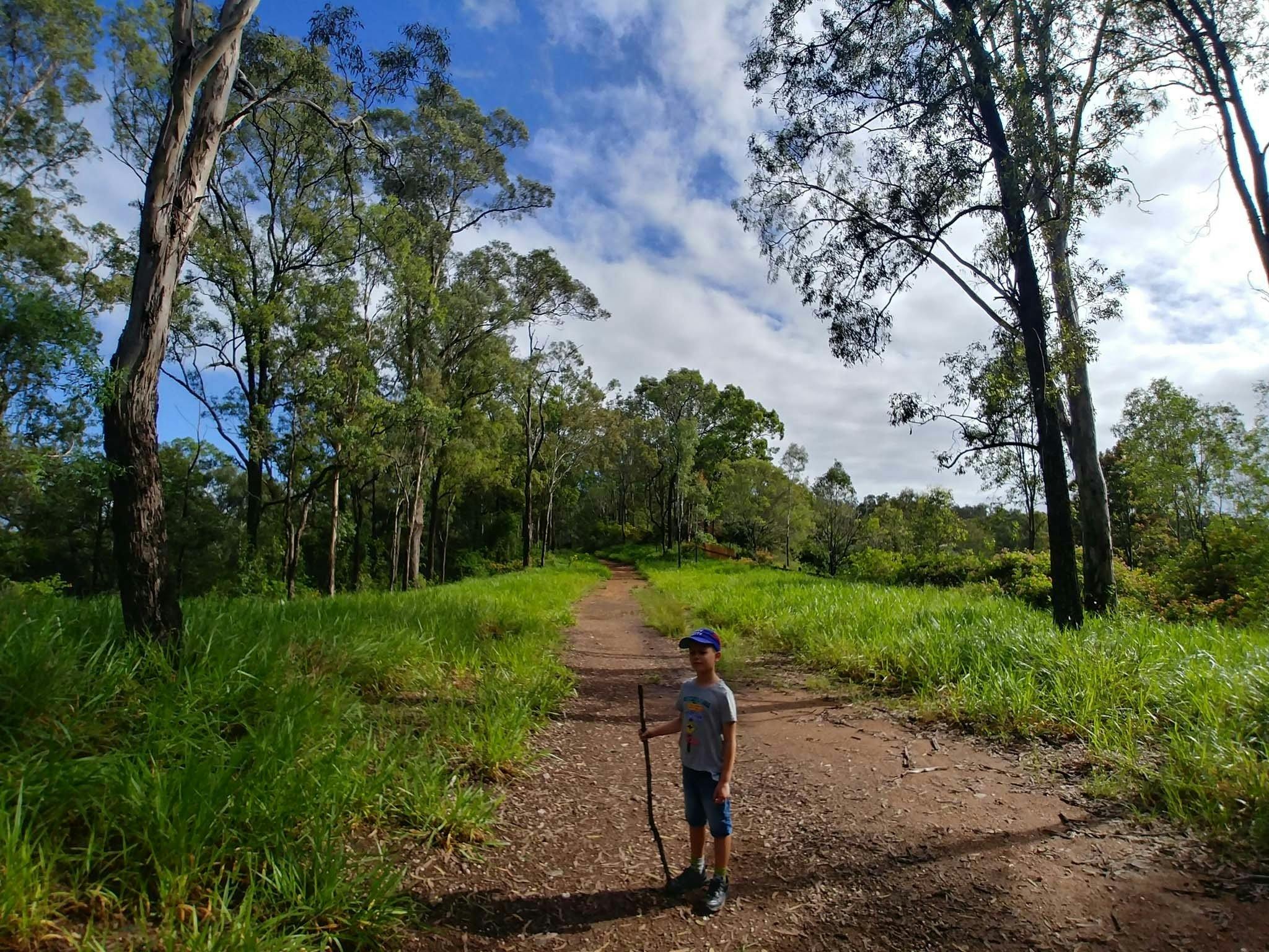 Samford Conservation Forest