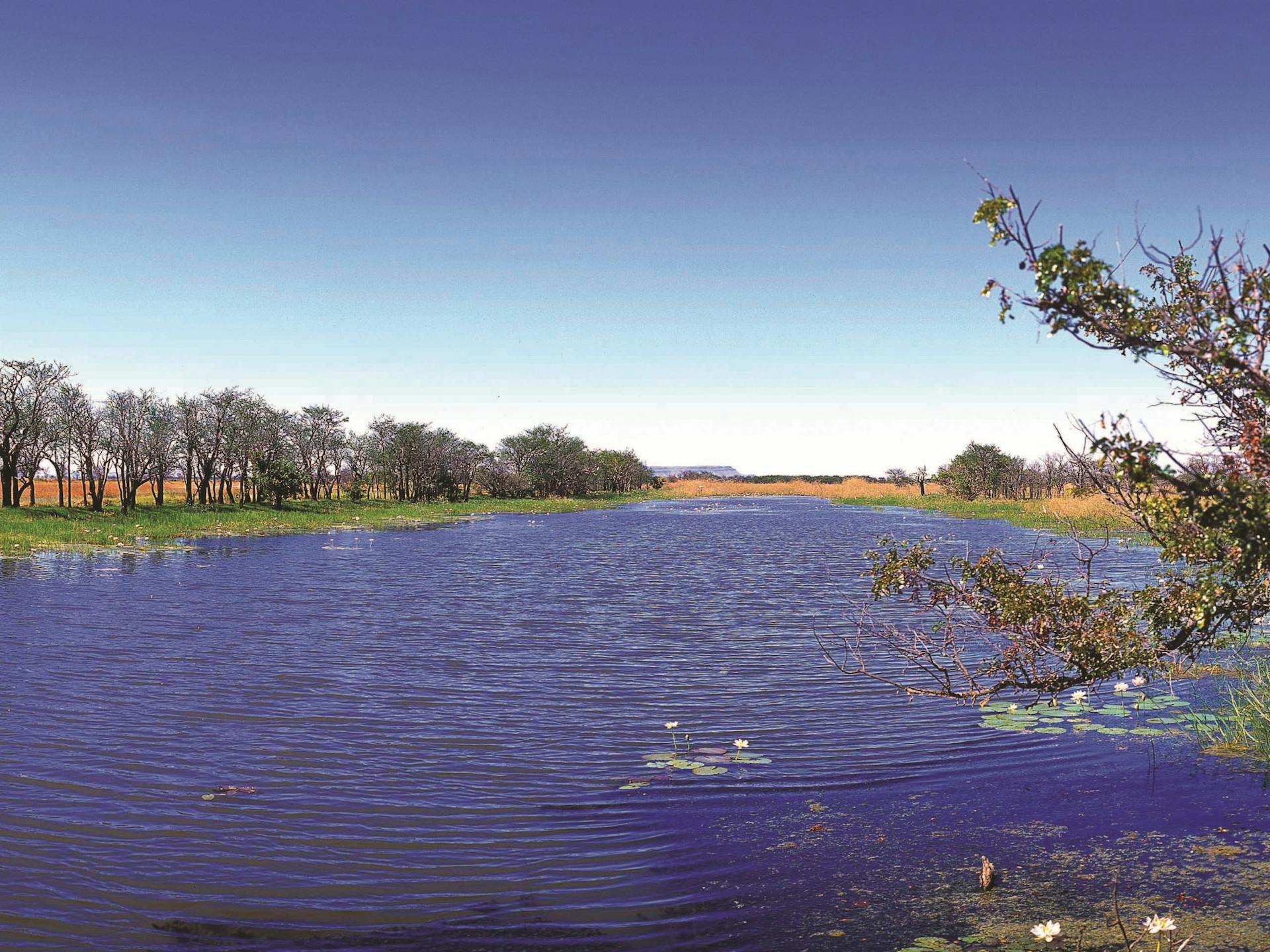 Parry Lagoons Nature Reserve in Wyndham - The Fold: Your Guide to ...