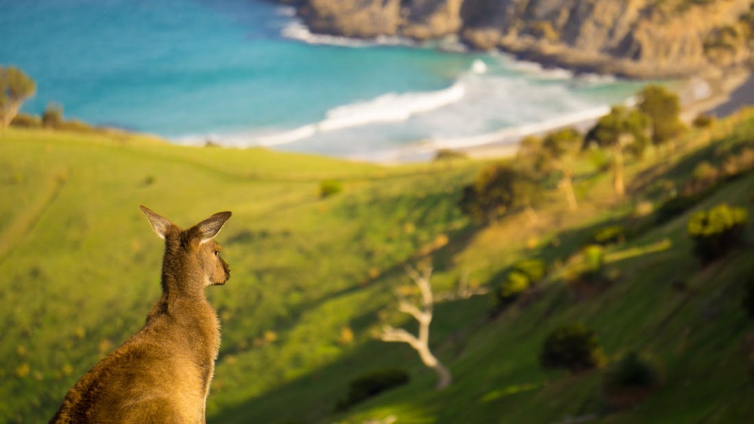 Southern Ocean Walk, Tour Service | South Australia