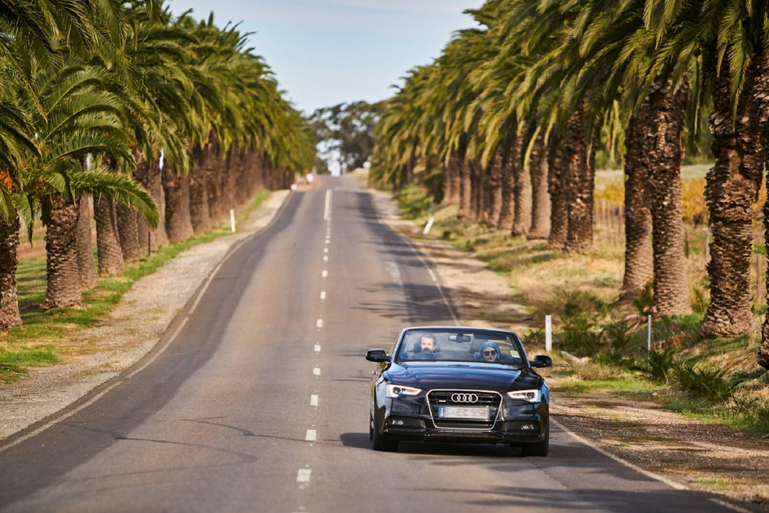 Seppeltsfield Road - Marananga, Attraction | South Australia