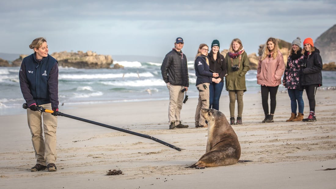 Research Tour, Tour Service | South Australia