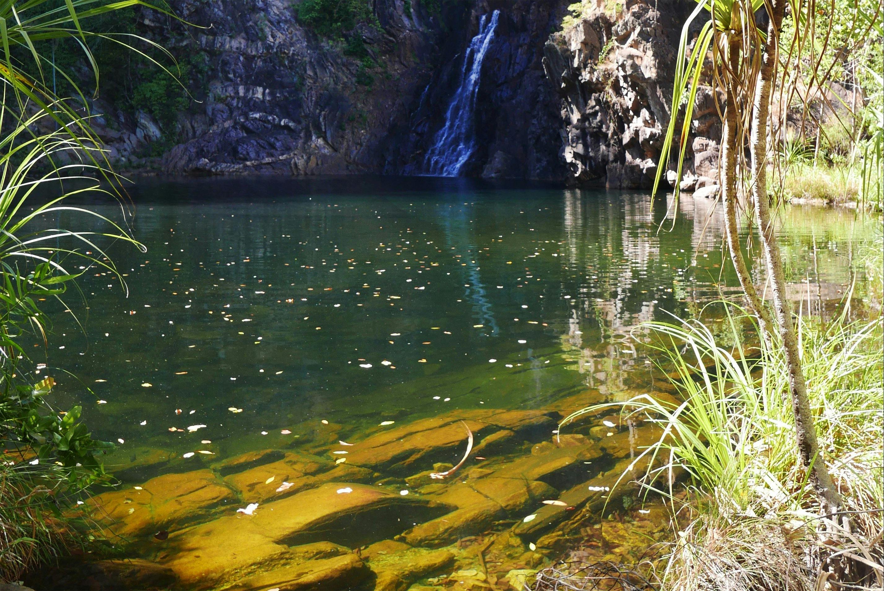 Tjaynera Falls (Sandy Creek) | Things to do in Litchfield National Park