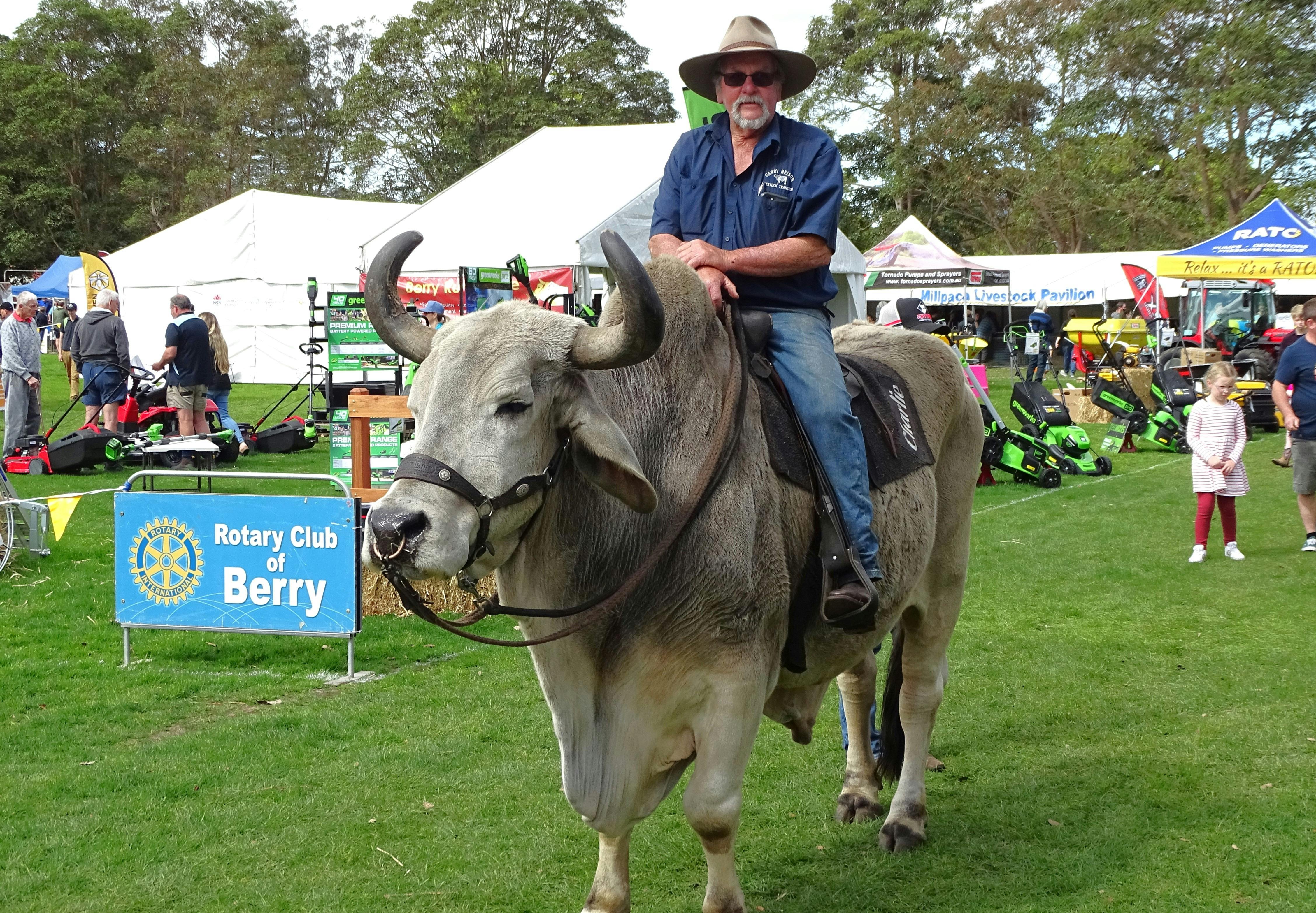 Berry Farm and Lifestyle Field Days - Shoalhaven - South Coast NSW