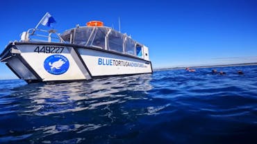 Bould Move | Attractions | Queensland