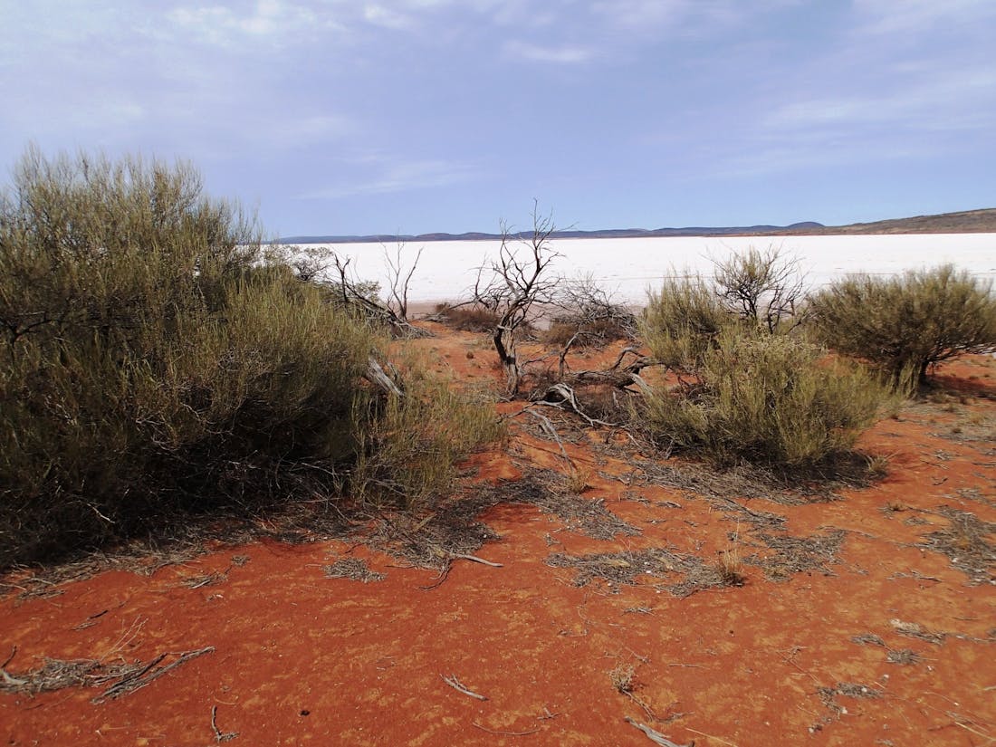 Lake Gairdner National Park Campgrounds - Lake Gairdner, Accommod...