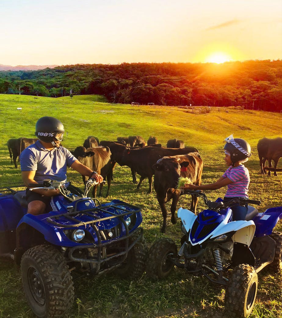 Kur-Cow Barnwell Farm | Cairns & Great Barrier Reef