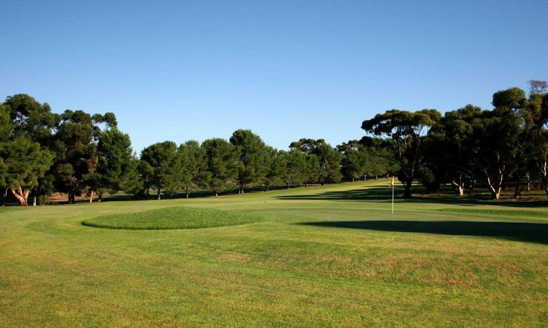 Mannum Golf Club - Mannum, Attraction | South Australia