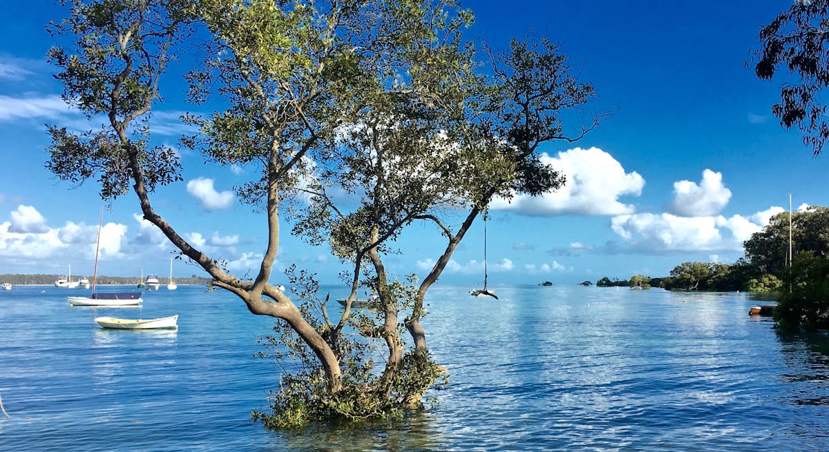 Visit Redlands Coast - Redlands Coast Lifestyle Information Centre