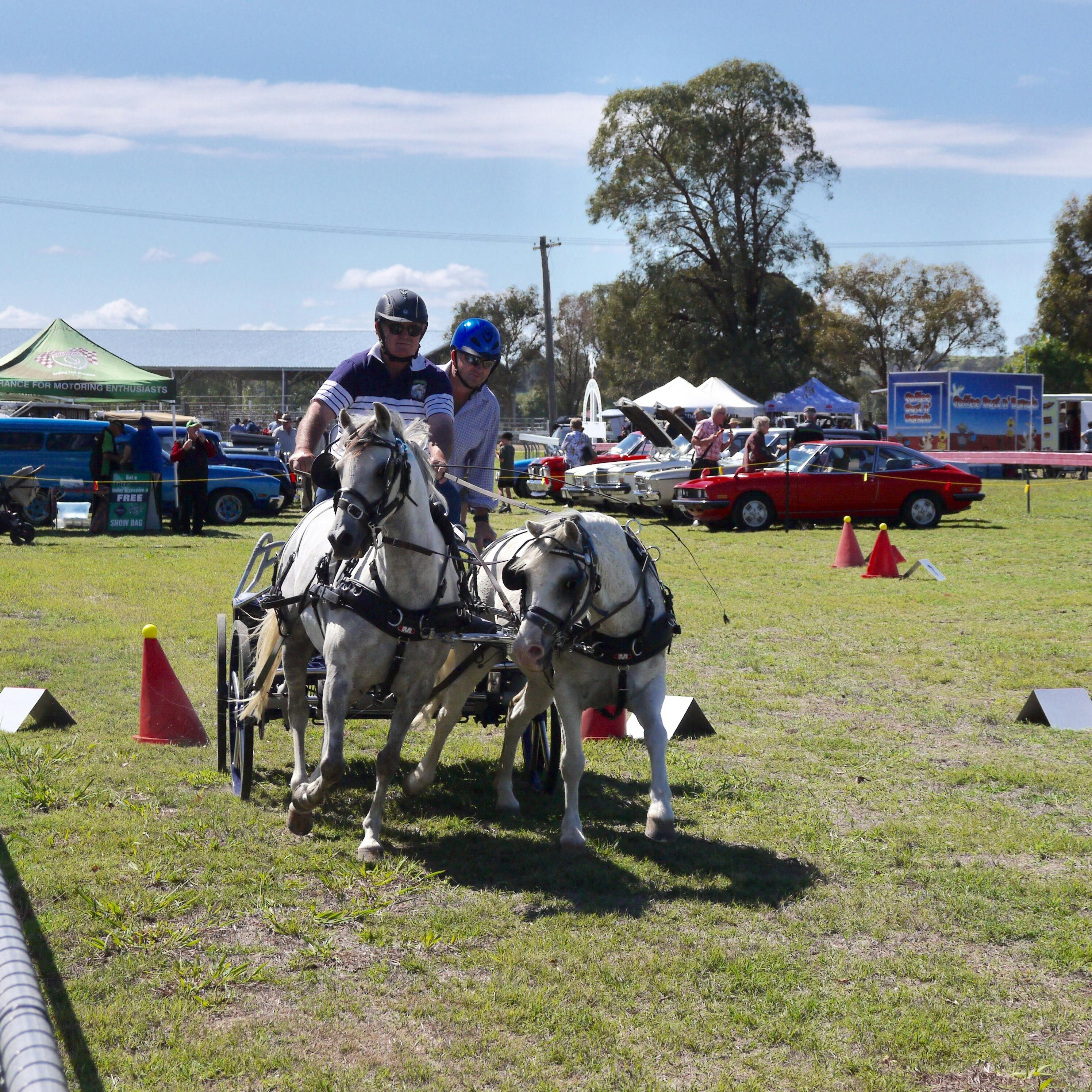 Ram and Stallion Hotel | NSW Holidays & Accommodation, Things to Do ...