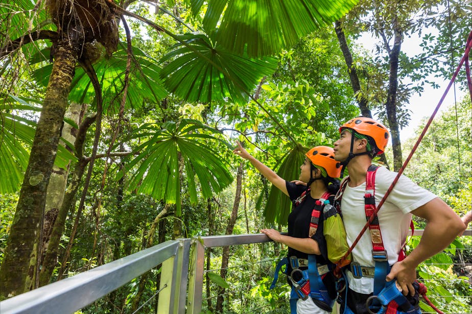 Cairns & Great Barrier Reef | Jungle Surfing Canopy Tours