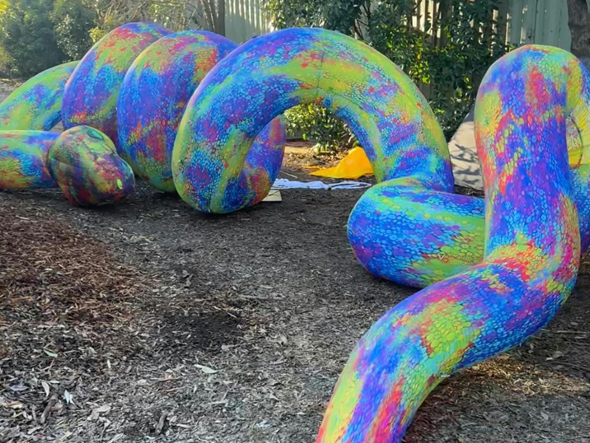 A World of Colour - Canberra Reptile Zoo in Nicholls - The Fold: Your ...