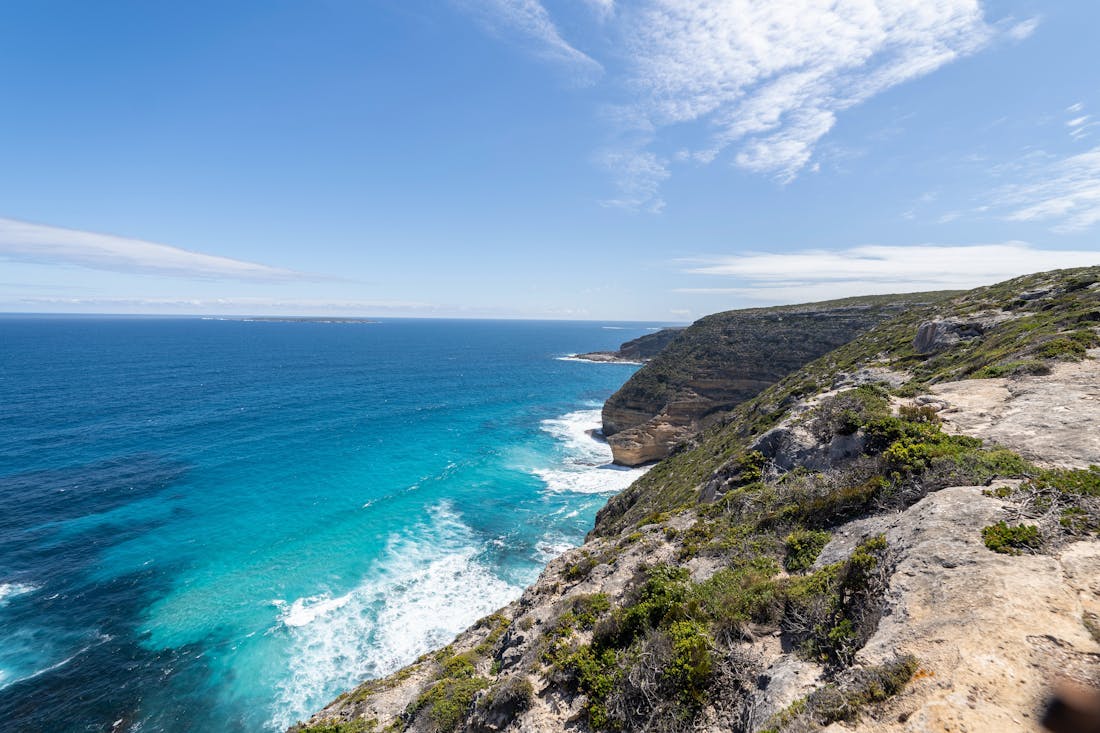 Whalers Way Half Day Tour, Tour Service | South Australia