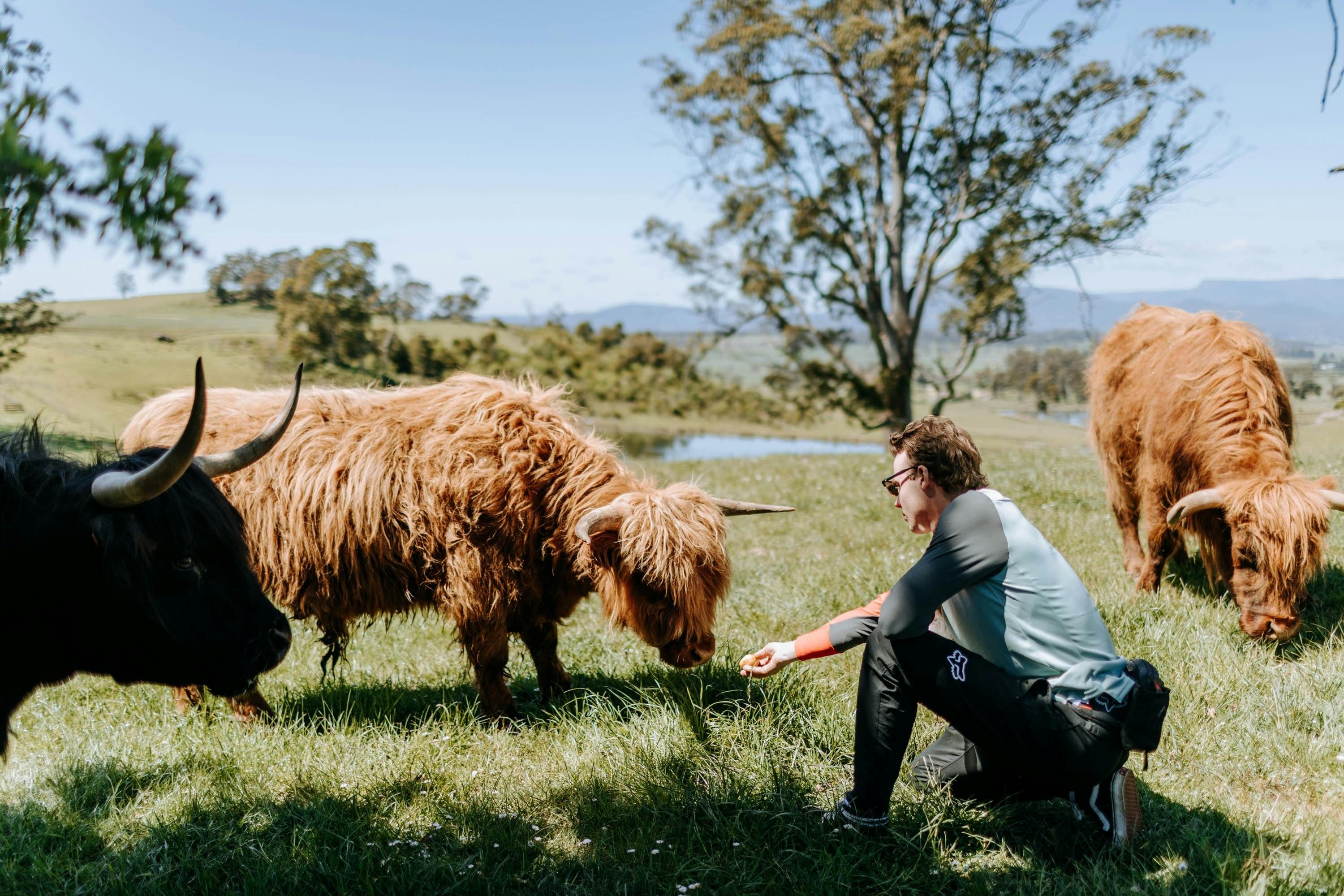 Adventure Tasmania | Tour | Discover Tasmania