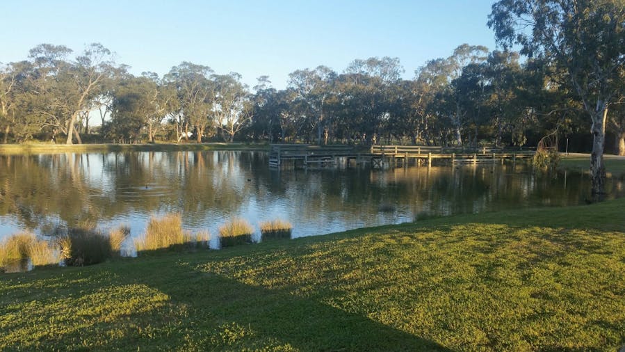 Bordertown Recreation Lake - Bordertown, Attraction | South Australia